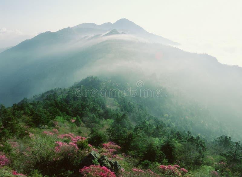 Mountain View stock image. Image of mountain, green, weather - 345767