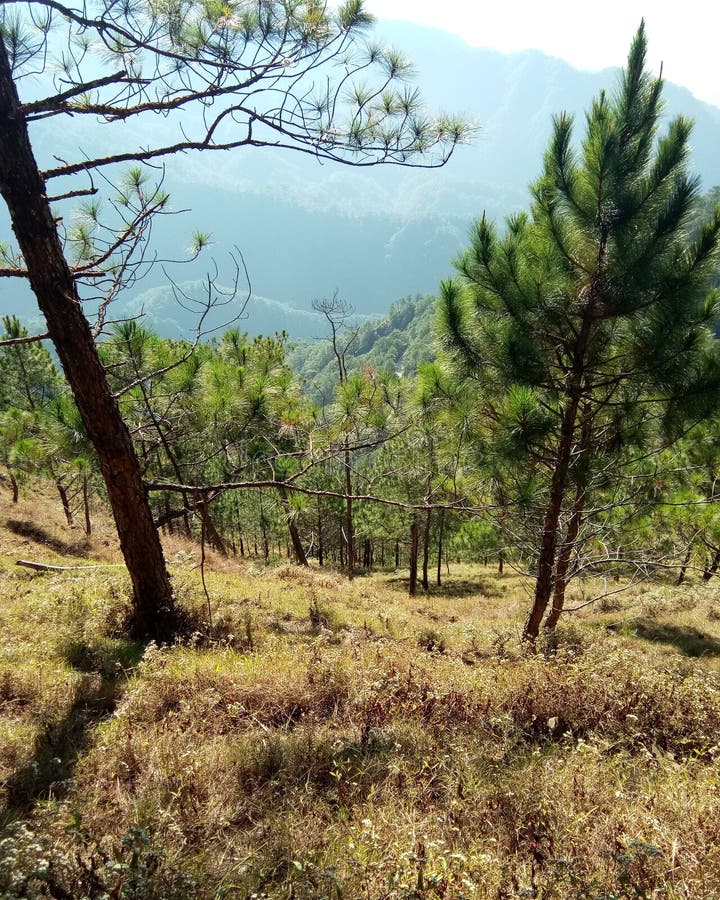 Mountain View stock image. Image of hudreds, nature - 110984109