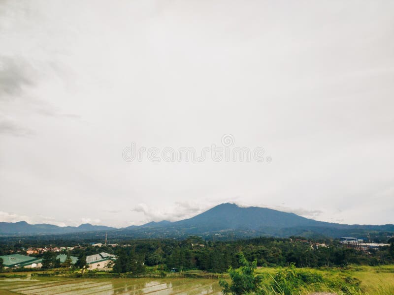 Mountain View in the Afternoon from the Rice Fields Stock Image - Image ...