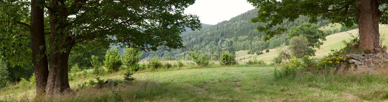 Mountain View with Big Tree Stock Image - Image of nature, forest: 26310259