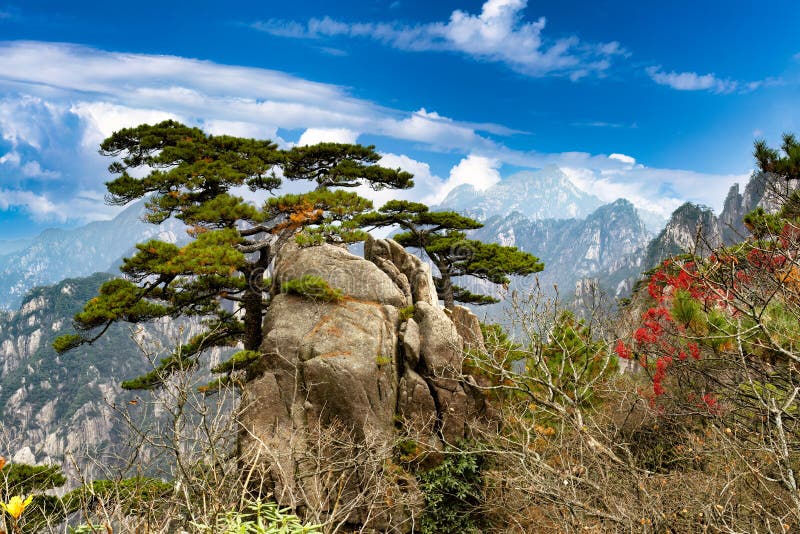 Mountain View with Bonsai Shaped Trees and Large Standing Rocks Stock ...