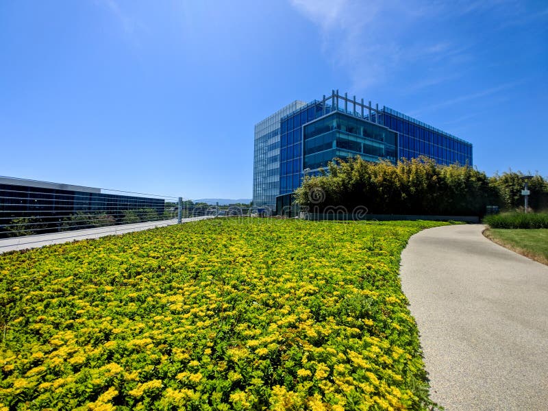 Google Cloud Building with Flowers and Walking Path in Foreground ...