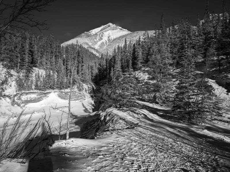 Mountain View in Canmore, AB Stock Photo - Image of snow, canmore ...