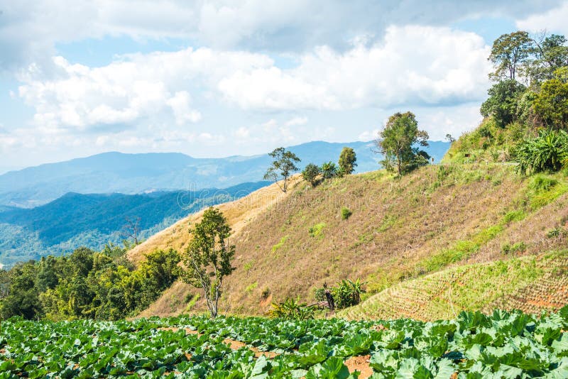 Mountain View at Chiangrai Province Stock Photo - Image of chiangrai ...
