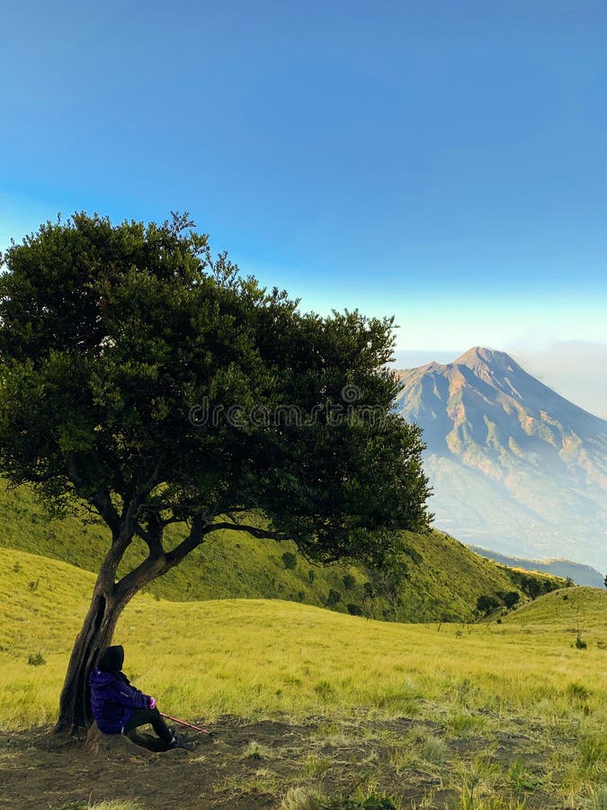 Mountain View with Climbers Resting Under Trees. Stock Photo - Image of ...