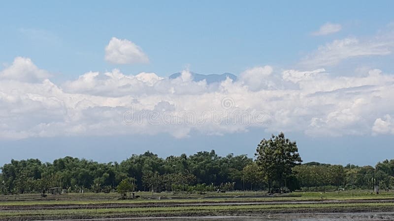 Mountain View between Clouds and Rice Fields Stock Image - Image of ...