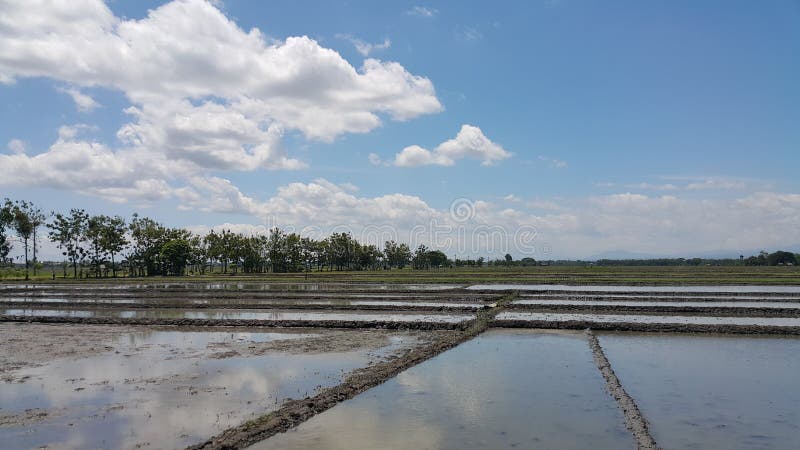 Mountain View between Clouds and Rice Fields Stock Image - Image of ...