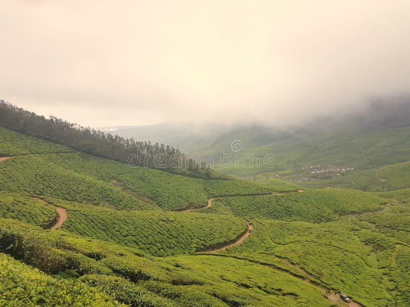 Mountain View De Iduki, Karala Foto de archivo - Imagen de cubo, hotel ...