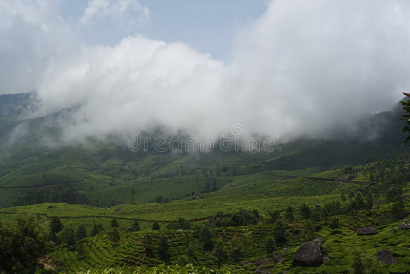 Mountain View De Munnar, Kerala, La India Foto de archivo - Imagen de ...