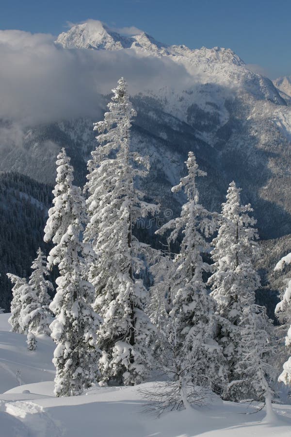 Mountain View, Tono De La Sepia Foto de archivo - Imagen de borde ...
