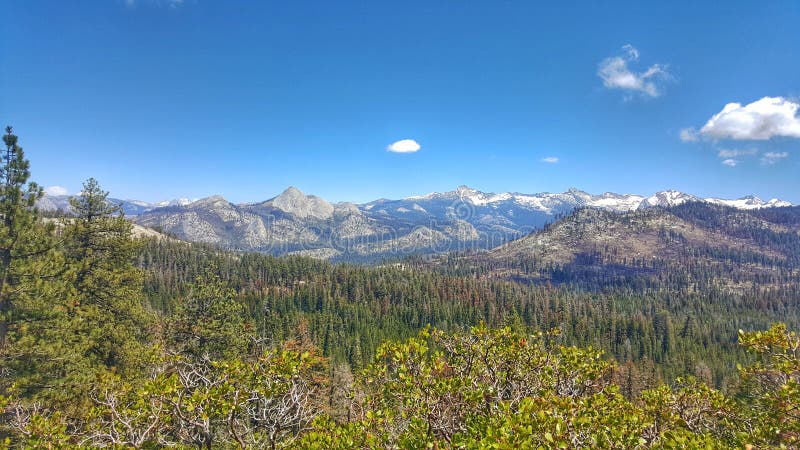 Mountain View En Parl Del Nacional De La Secoya Foto de archivo ...