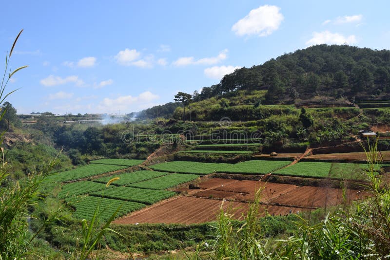 Mountain View with the Field in the Valley in Vietnam Stock Image ...