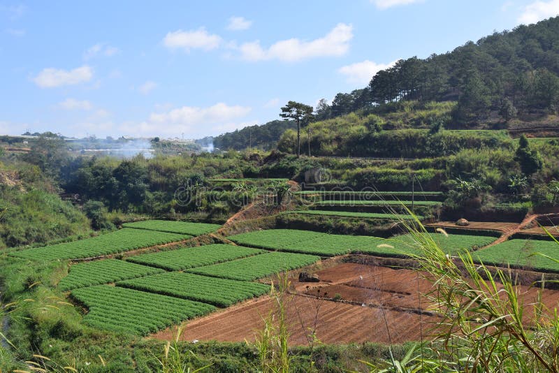 Mountain View with the Field in the Valley in Vietnam Stock Image ...