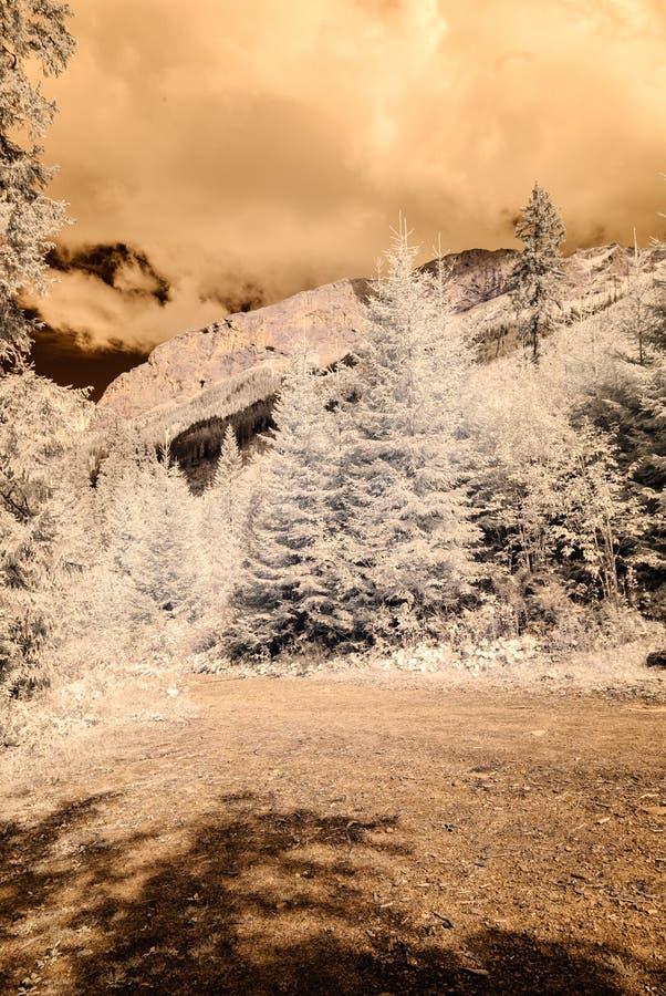 Mountain View from Forest. Infrared Image Stock Image - Image of ...