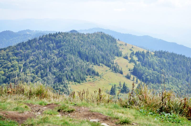 Mountain View of the Forest and the Path on the Side of the Mountain ...