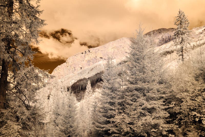 Mountain View from Forest. Infrared Image Stock Image - Image of ...