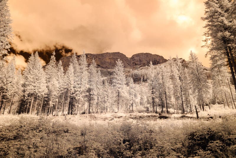 Mountain View from Forest. Infrared Image Stock Image - Image of ...