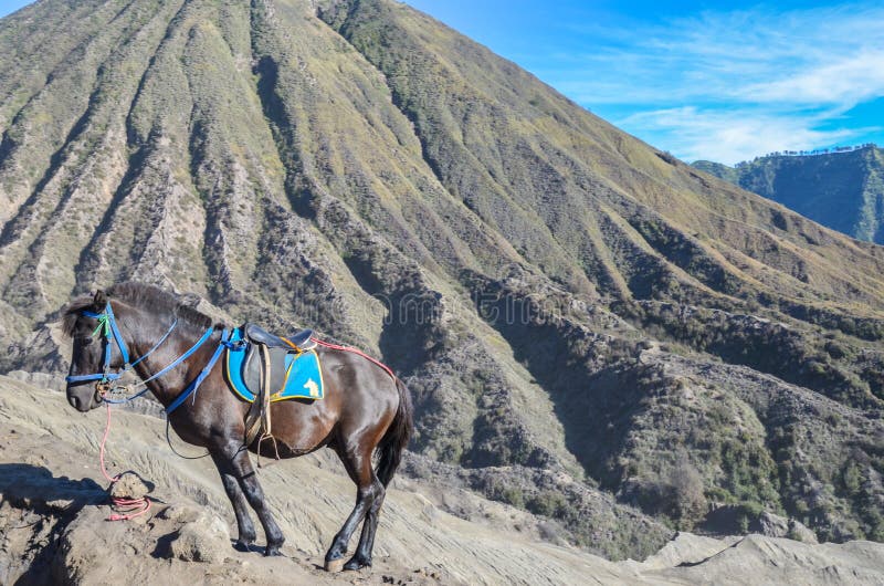 Mountain View, Java, Indonesia Immagine Stock - Immagine di montagne ...