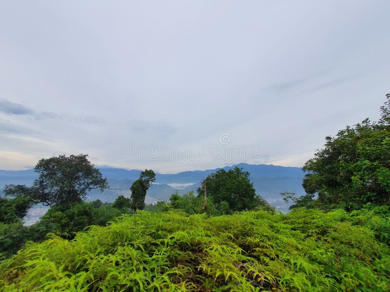 MOUNTAIN VIEW MAKING CHILL stock photo. Image of plant - 213091672