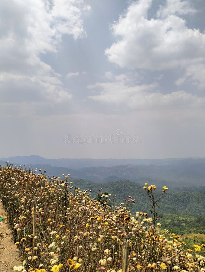 Mountain View Point at Chiang Mai Thailand Stock Image - Image of ...