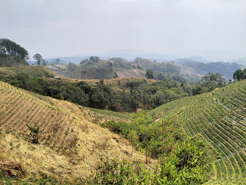 Mountain View Point at Chiang Mai Thailand Stock Photo - Image of ...