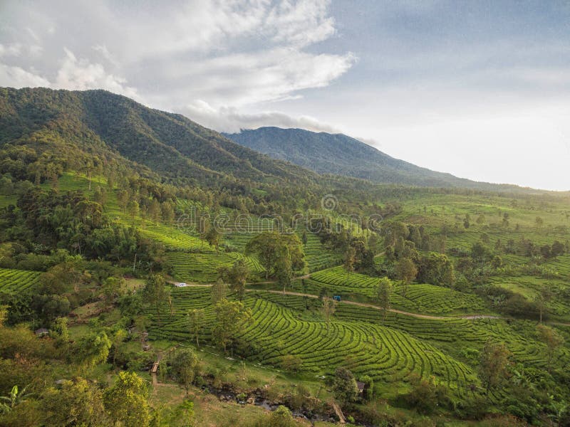 Mountain View, Puncak, Bogor. Indonesia Stock Image - Image of blue ...