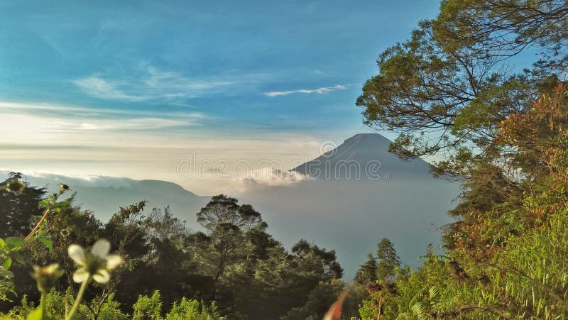 Mountain View stock image. Image of tree, autumn, landscape - 240076695