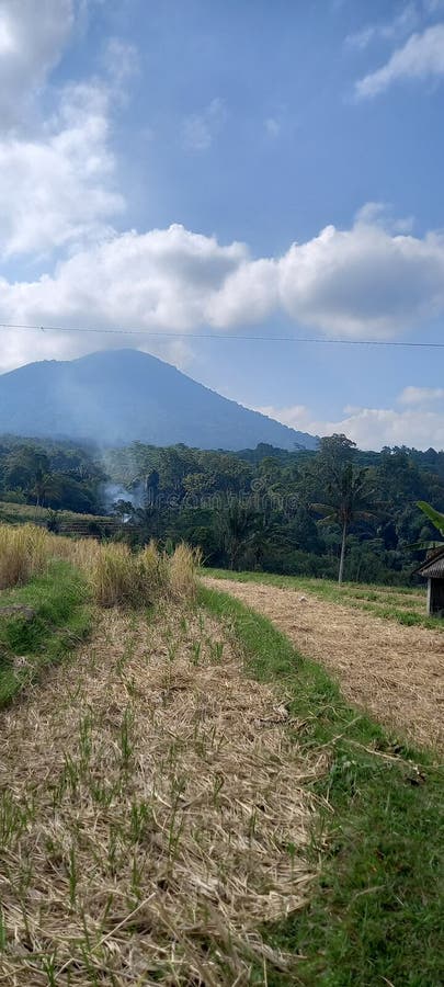 Mountain View and Rice Padi so Beautiful Stock Image - Image of padi ...