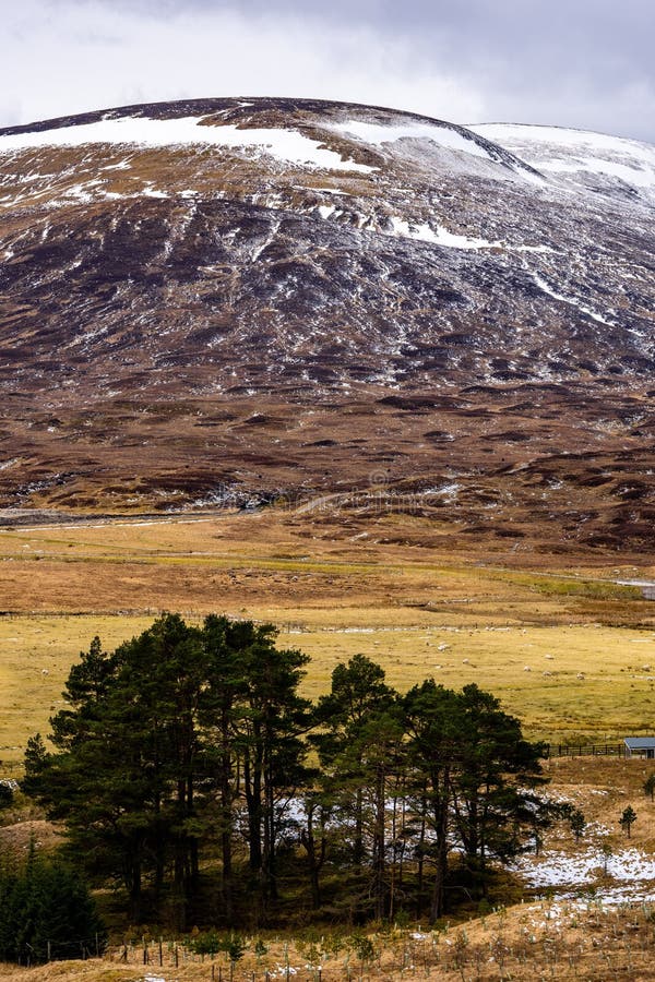 Mountain View of the Scottish Highlands Stock Photo - Image of outdoor ...