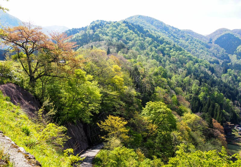Spring mountain view stock photo. Image of view, japan - 103072256