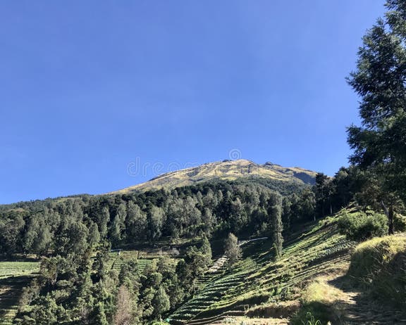 Mountain View stock photo. Image of java, located, central - 264122636