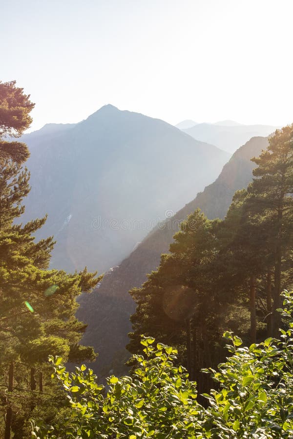 Mountain View at Sunset. Pine Forest Stock Photo - Image of andorra ...