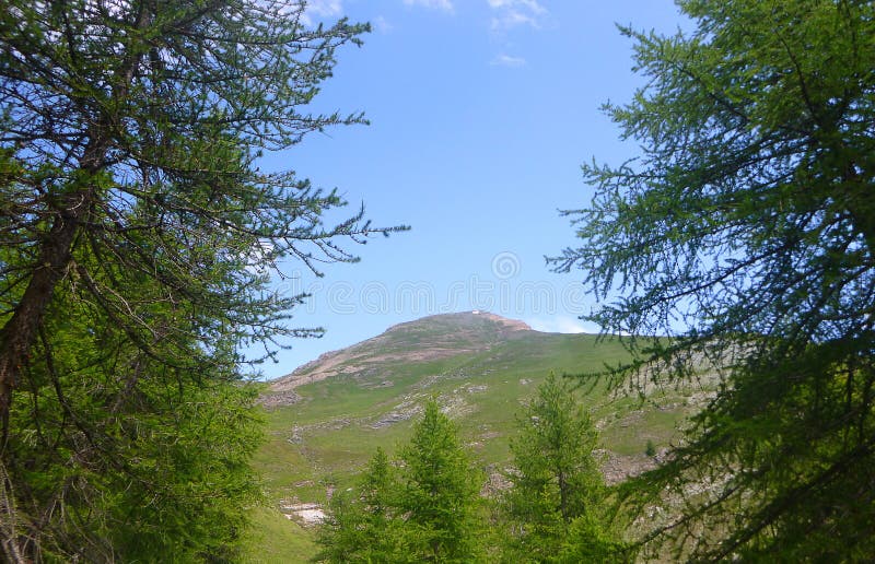 Mountain View through the Trees Stock Photo - Image of landscape, view ...