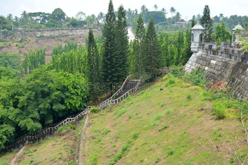 Mountain View with Trees and Leaves during Daytime Stock Photo - Image ...