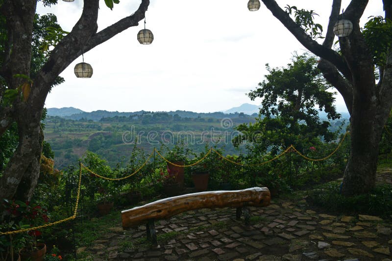 Mountain View with Trees and Leaves during Daytime Stock Photo - Image ...