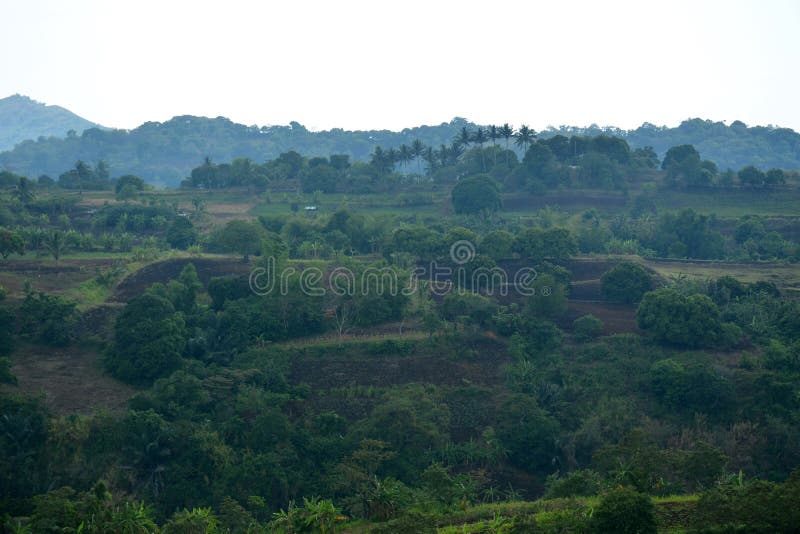 Mountain View with Trees and Leaves during Daytime Stock Image - Image ...