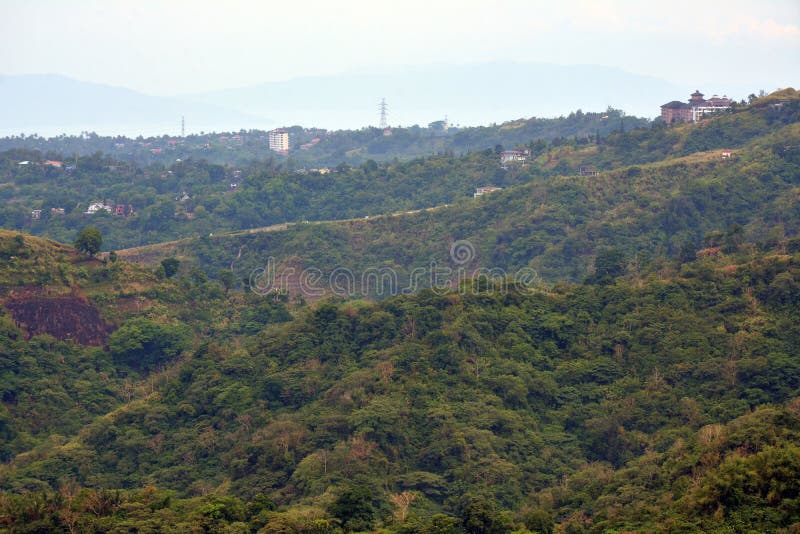 Mountain View with Trees and Leaves during Daytime Stock Photo - Image ...