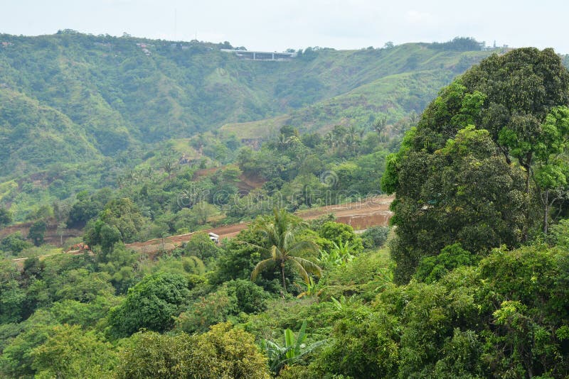 Mountain View with Trees and Leaves during Daytime Stock Photo - Image ...