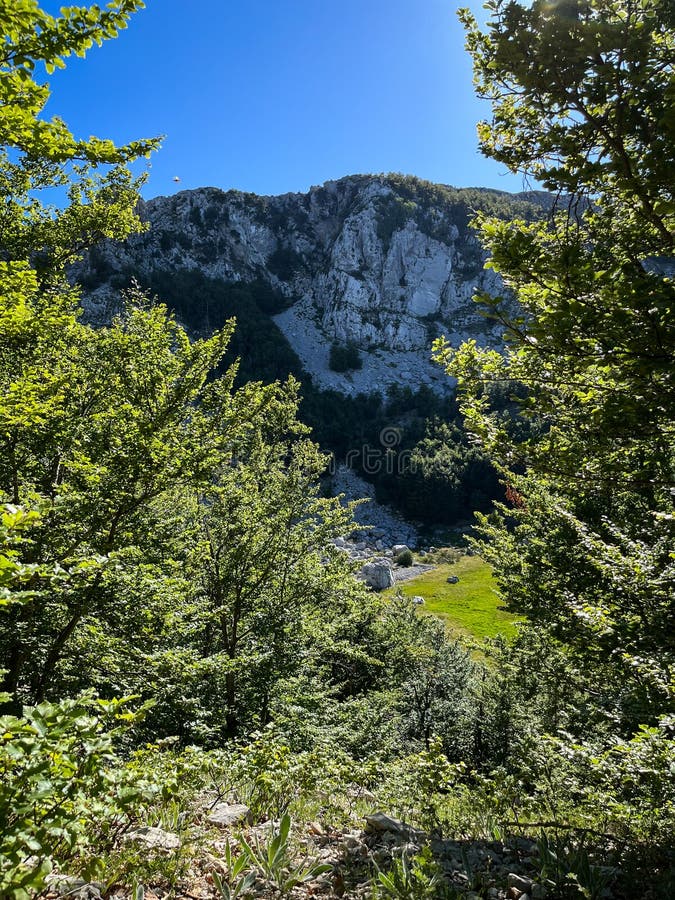Mountain View from the Trees, Montenegro. Stock Image - Image of valley ...