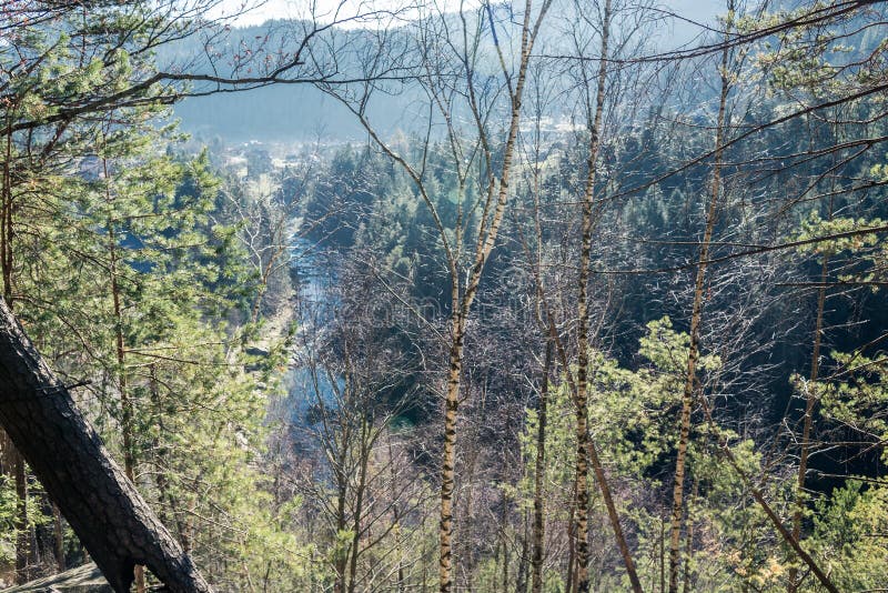 Mountain View through the Trees on the Whole Frame Stock Photo - Image ...