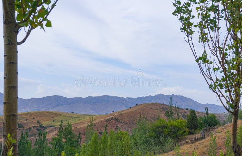 Mountain View between Two Trees Stock Photo - Image of sunlight ...