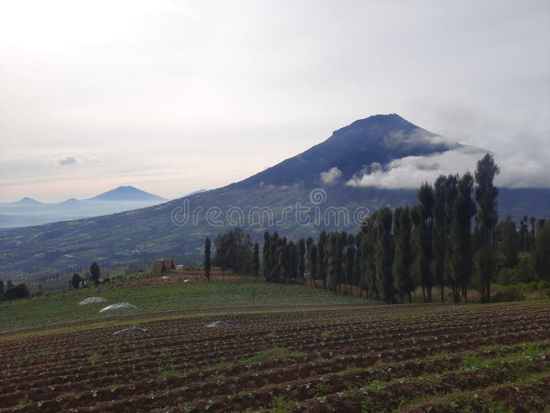 Mountain View with Wide Farmland Stock Image - Image of farmland ...