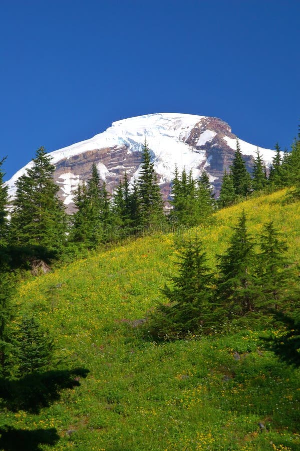Pacific Northwest Mountains Stock Image - Image of altitude, pacific ...