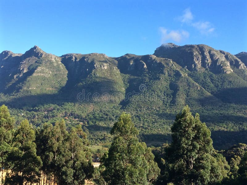 Mountain Vista Trees in Foreground Stock Photo - Image of vista, nature ...