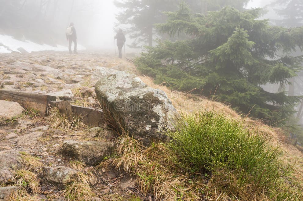 Mountain wandering stock photo. Image of climbing, trees - 30821262
