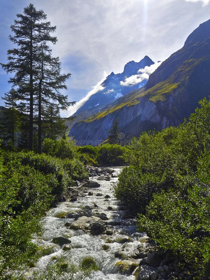 Mountain Water Source stock photo. Image of obesity, forest - 48377010