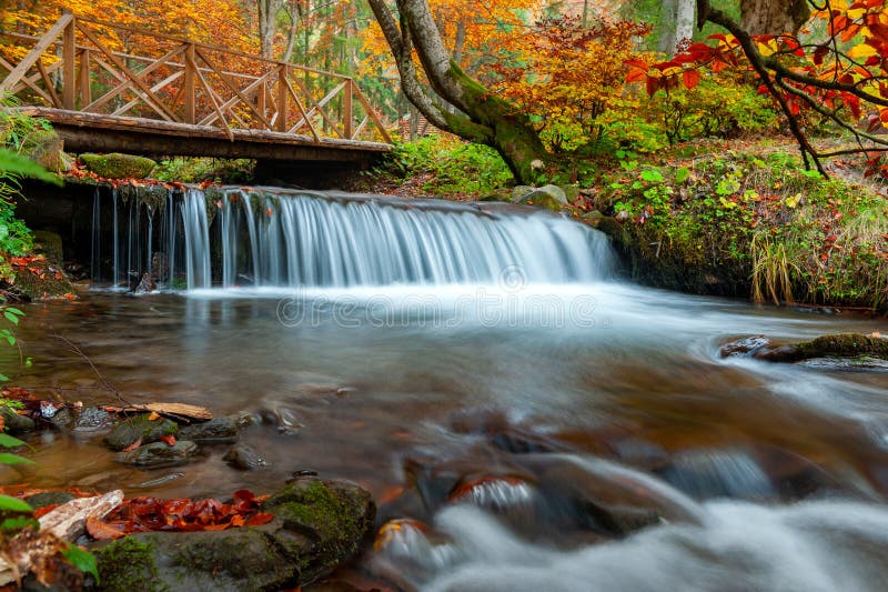 Mountain Waterfall in Autumn Forest Stock Photo - Image of jungle ...