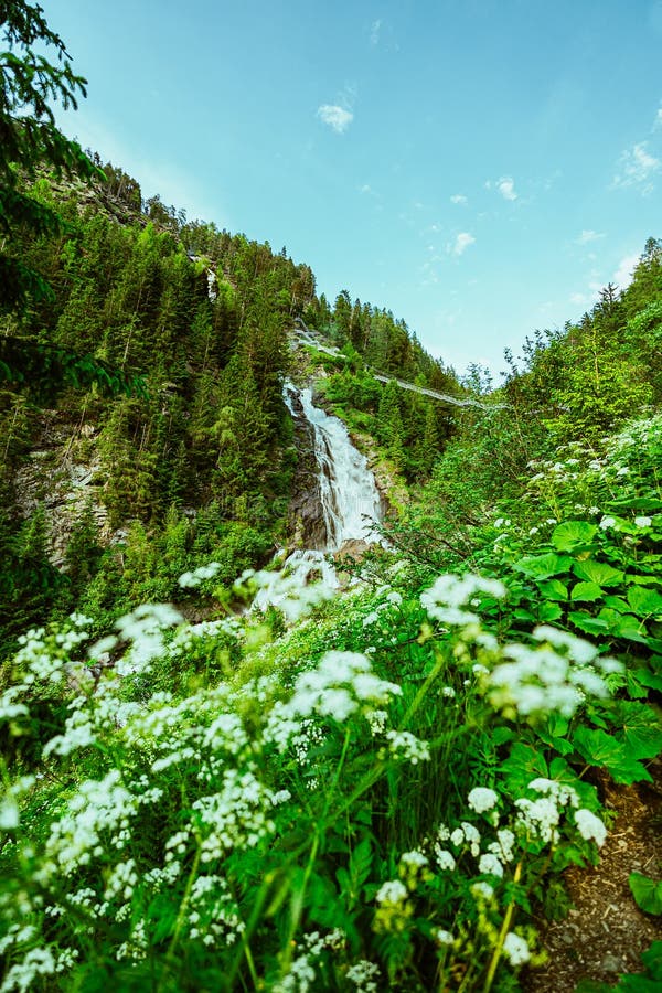 Mountain Waterfall in a Beautiful Forest Nature Environment Stock Photo ...