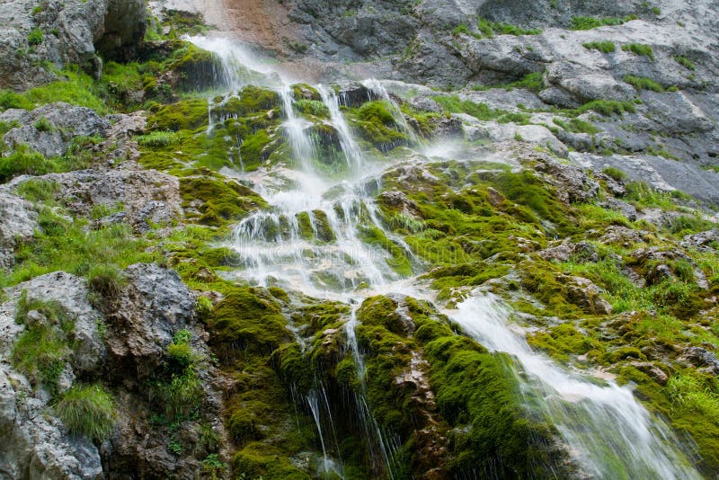 Mountain Waterfall with Clean Water Falls from a Small Height Stock ...