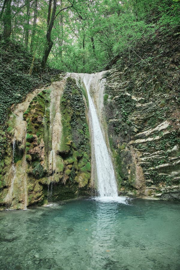 Mountain Waterfall in the Forest, a Large Noisy Stream of Water, a Wild ...